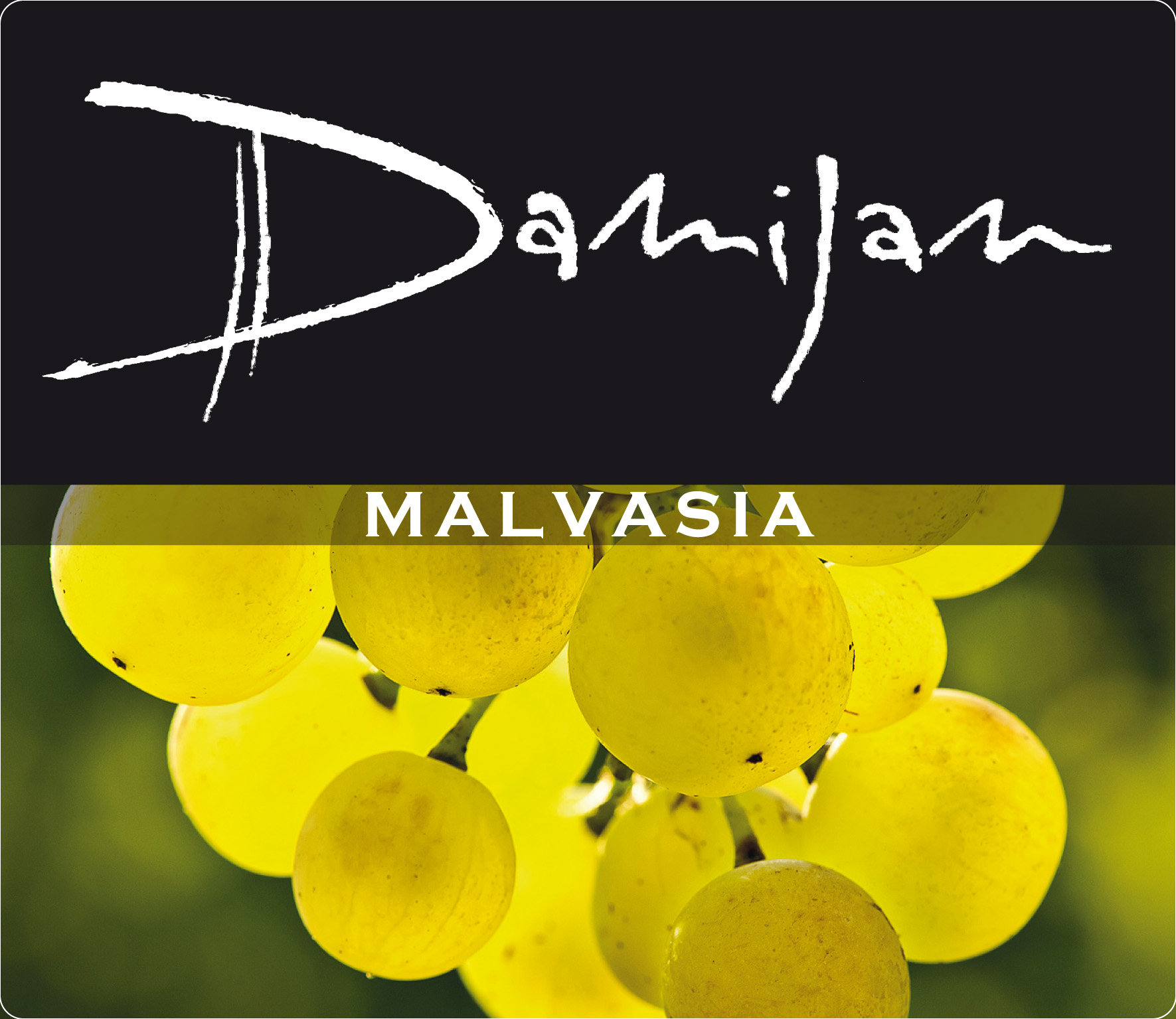 Malvasia – Vinity Wine Company