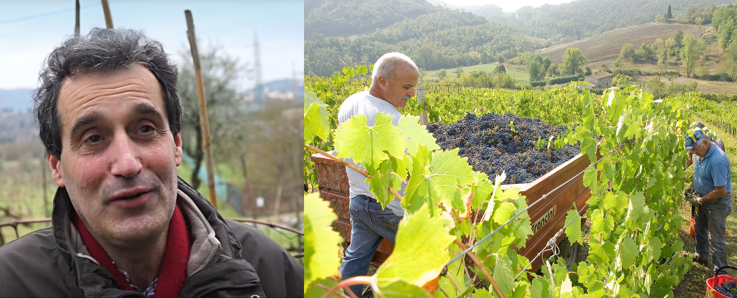 Fattoria Ambra – Vinity Wine Company