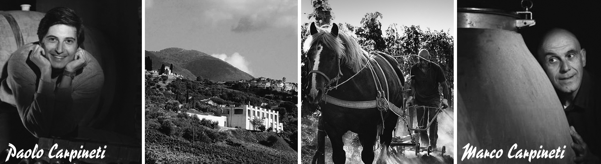 Marco Carpineti – Vinity Wine Company